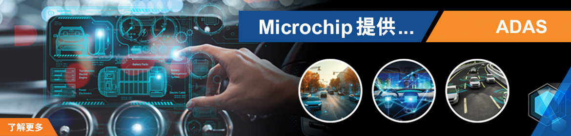 MICROCHIP